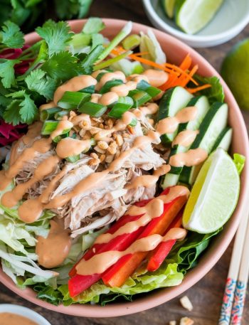 Best Ever Chicken Salad with Cranberries – Cover and Simmer